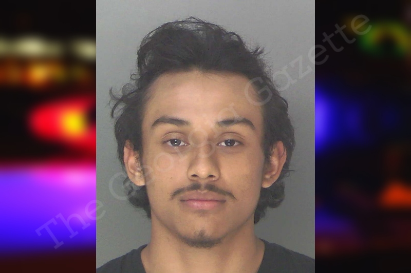 Andrew Paz — Douglas County Jail Bookings