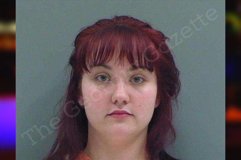 Rachel Perry — Rabun County Jail Bookings