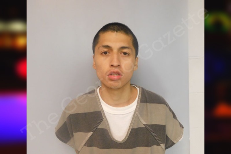 Angel Ponce — Hall County Jail Bookings