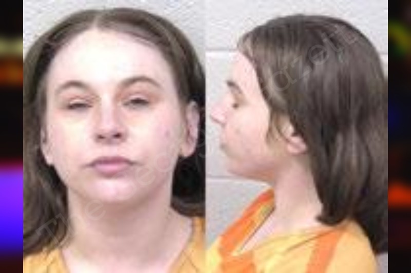 Rebecca Perlstein — Paulding County Jail Bookings
