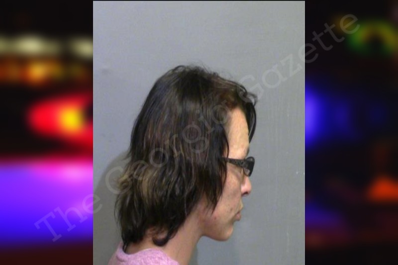 Kirsten Poppell — Glynn County Jail Bookings