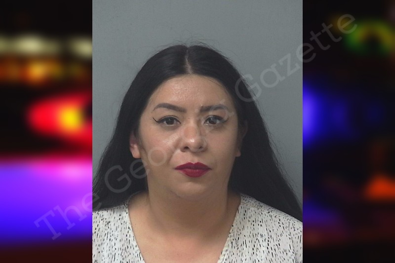 Maria Ramirez | Gwinnett County Jail Bookings