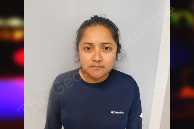Laura Ramirez-Reyes — Hall County Jail Bookings