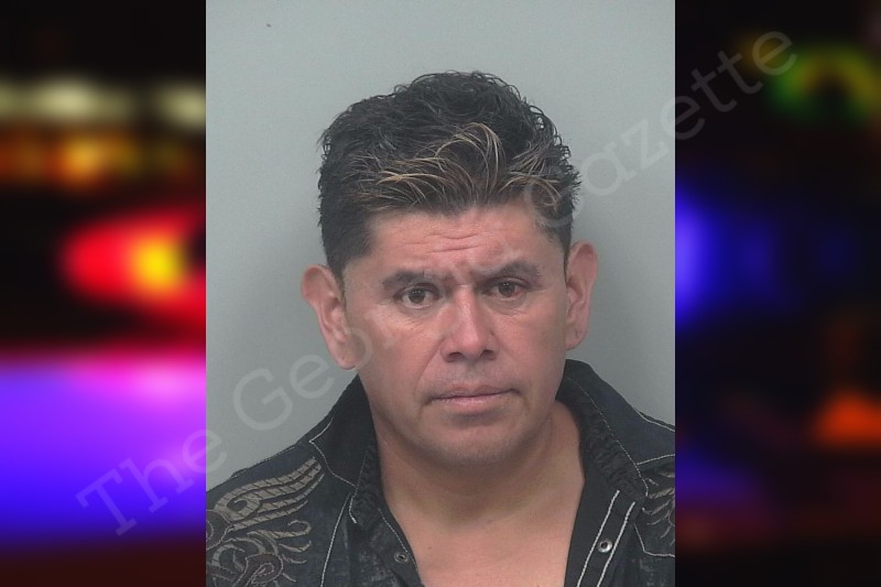 Daniel Ramirez-Sanchez — Gwinnett County Jail Bookings