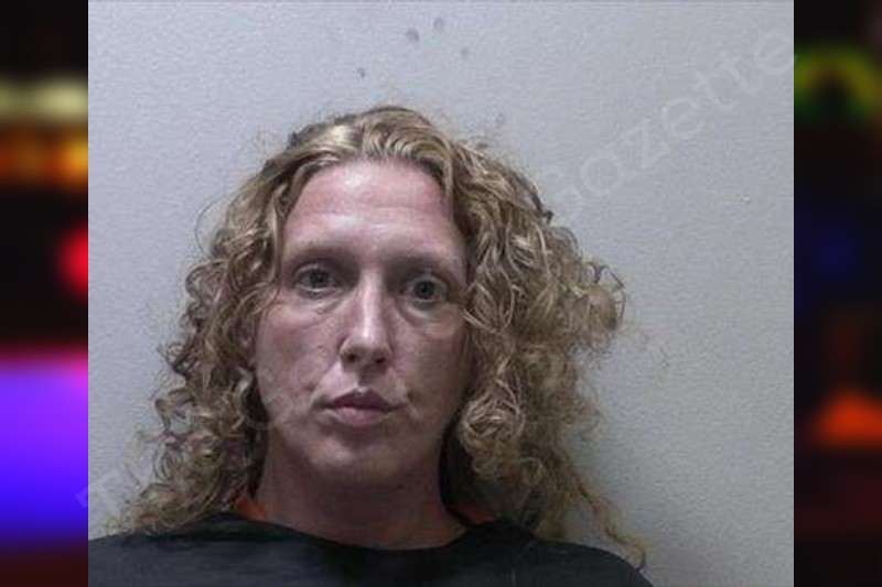 Shannon Robinson — Habersham County Jail Bookings