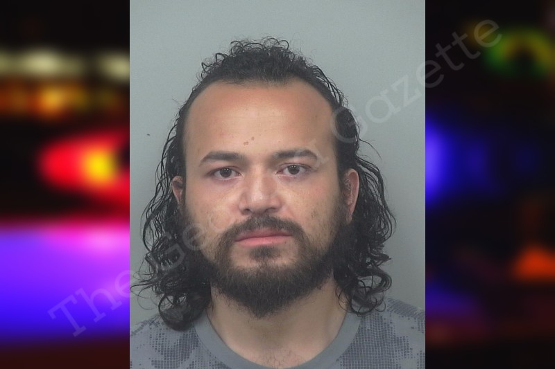 Henry Rojas — Gwinnett County Jail Bookings