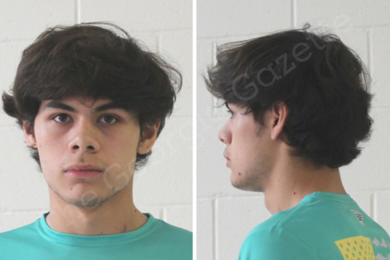 George Ramirez — Houston County Jail Bookings