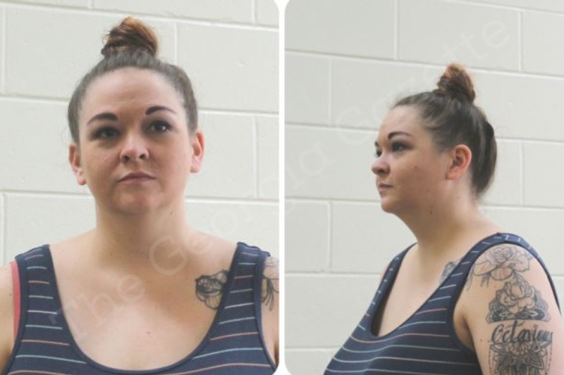Jamie Reed — Houston County Jail Bookings