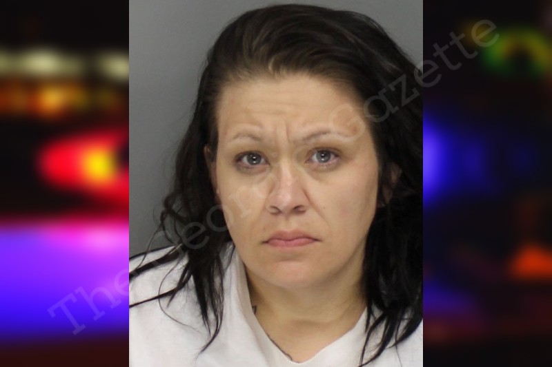 Kayleigh Scoggins — Cobb County Jail Bookings