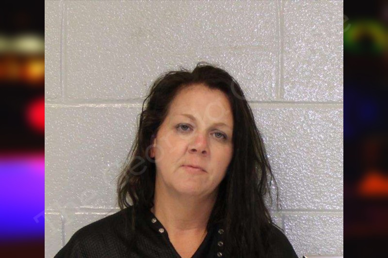 Brandy Shoemake — Carroll County Jail Bookings