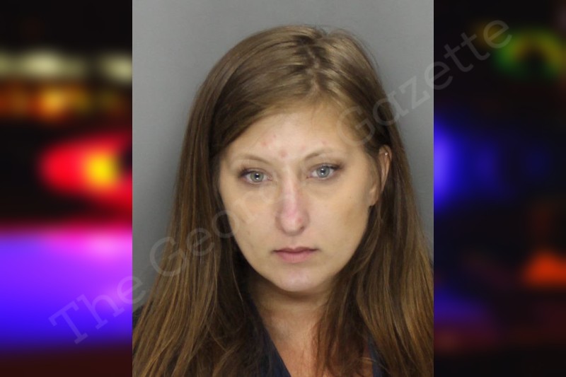 Jessica Smith — Cobb County Jail Bookings