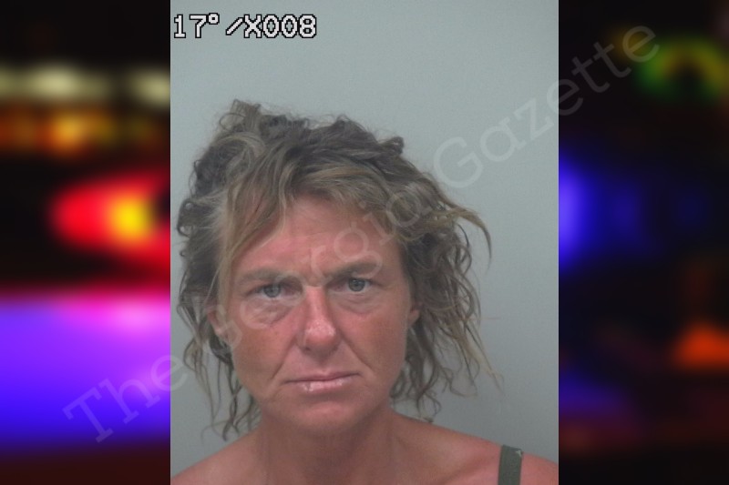 Terri Springer — Gwinnett County Jail Bookings