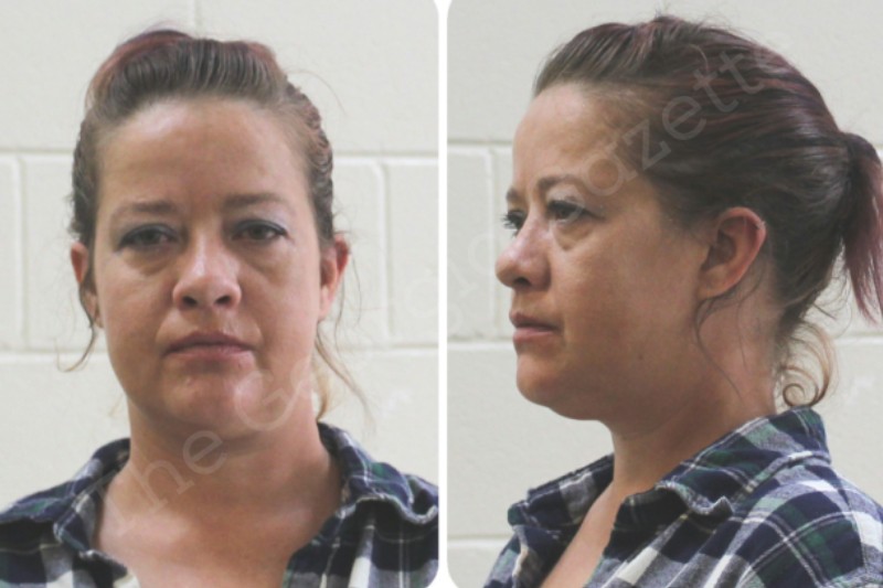 Angela Scott — Houston County Jail Bookings