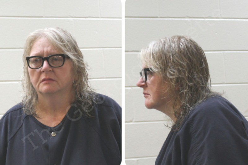 Lisa Skipper — Houston County Jail Bookings