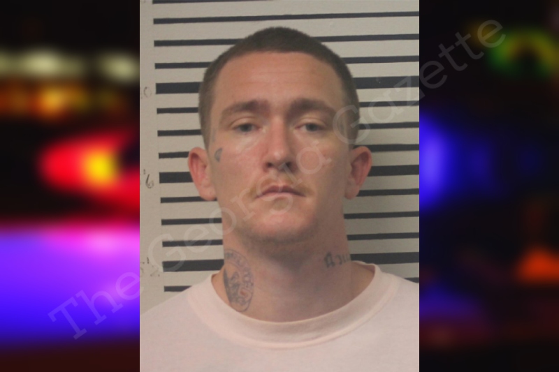 Preston Thornton — Toombs County Jail Bookings