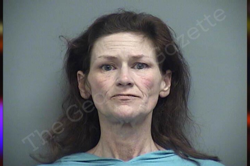 Katina Tilley — Effingham County Jail Bookings