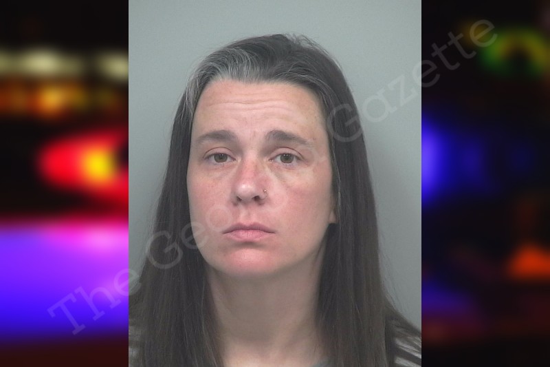 Brittany Tolar — Gwinnett County Jail Bookings