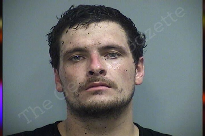 Travis Terrell — Effingham County Jail Bookings