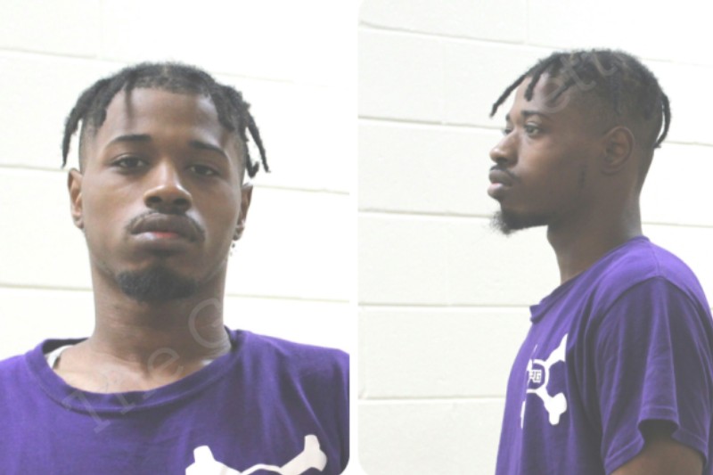 Ashlee Thomas — Houston County Jail Bookings