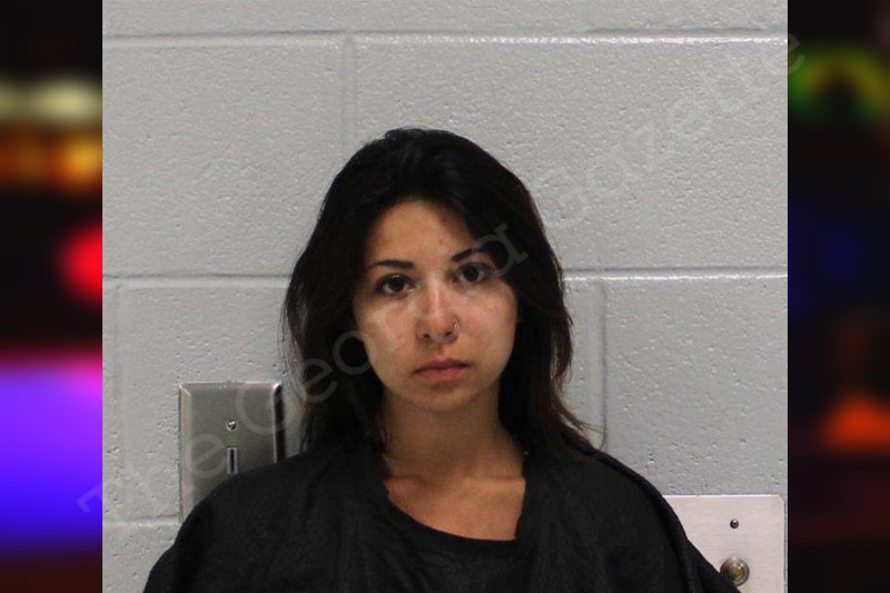 Lynnette Uresti — Carroll County Jail Bookings