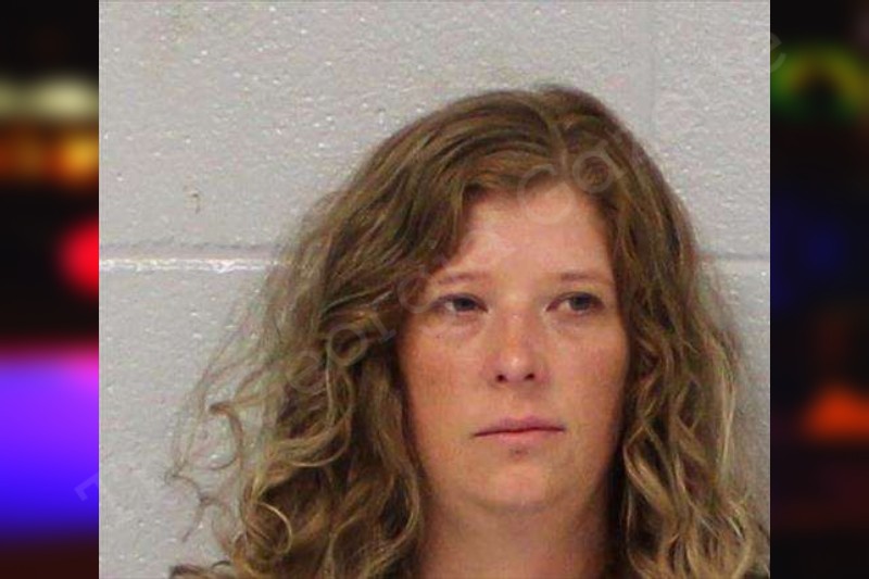 Alyssa Vaughan — Carroll County Jail Bookings