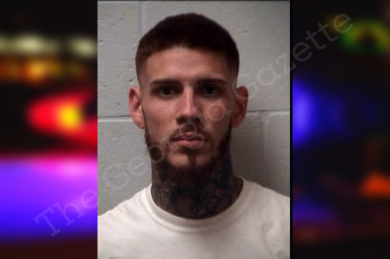 Jeremy Vega — Henry County Jail Bookings