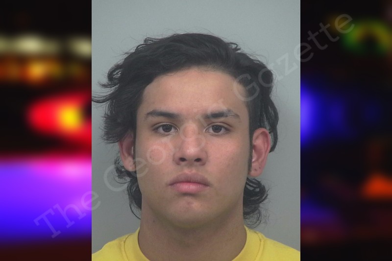 Nerio Villallobos Rincon — Gwinnett County Jail Bookings