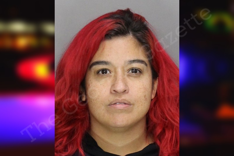 Misty Watson — Cobb County Jail Bookings