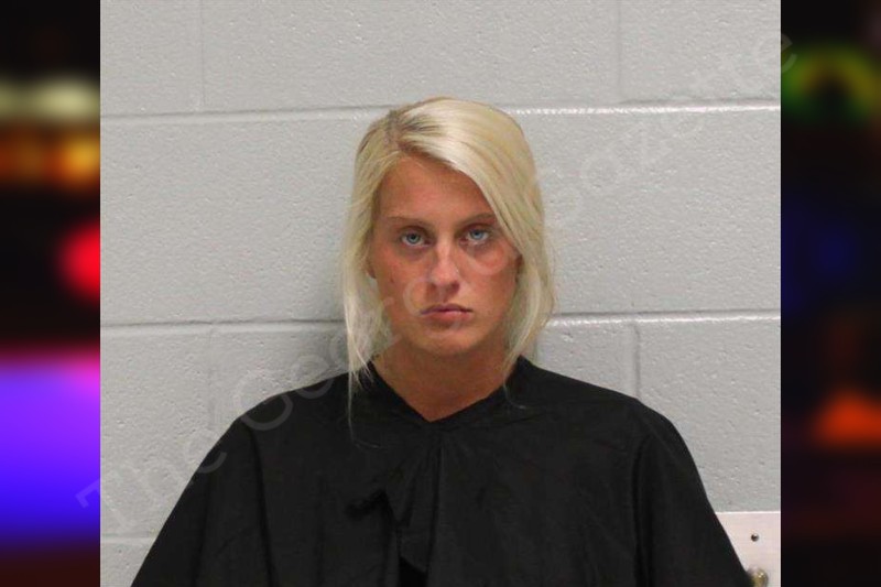Anna Whitlock — Carroll County Jail Bookings