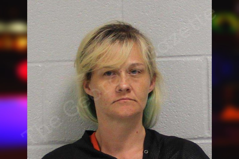 Crystal Whitlock — Carroll County Jail Bookings