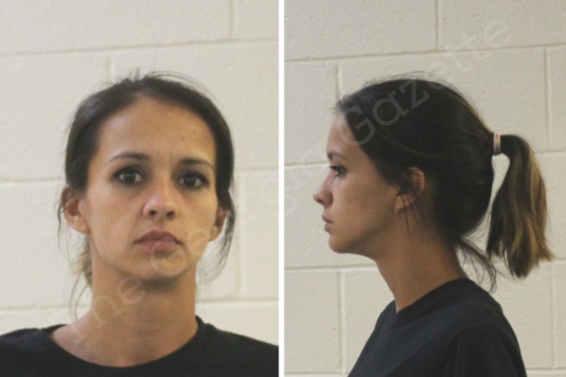 Robyn Walls — Houston County Jail Bookings