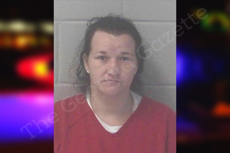 Jennifer Young — Newton County Jail Bookings