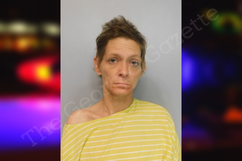 Cindy Alam — Hall County Jail Bookings