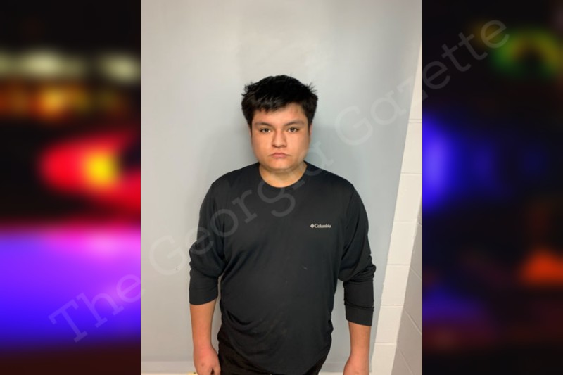 Emmanuel Alfaro — Hall County Jail Bookings