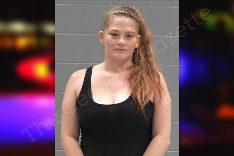 Susanne Allen — Baldwin County Jail Bookings