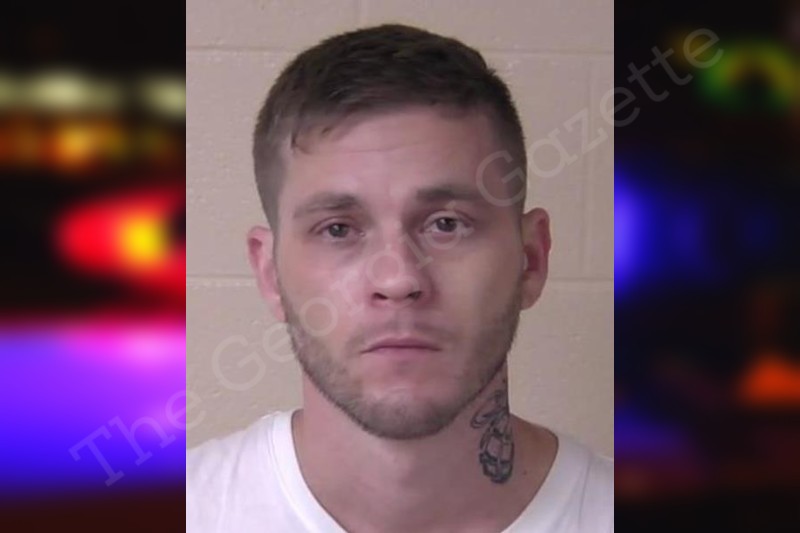 Travis Allison — Walker County Jail Bookings