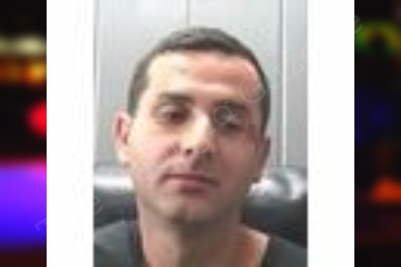 Goran Ardalic — Hart County Jail Bookings