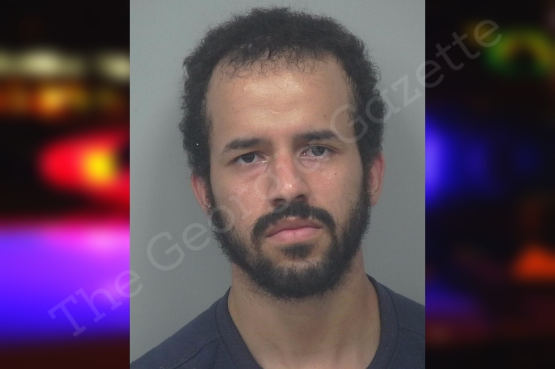 Jeison Baez Marte — Gwinnett County Jail Bookings