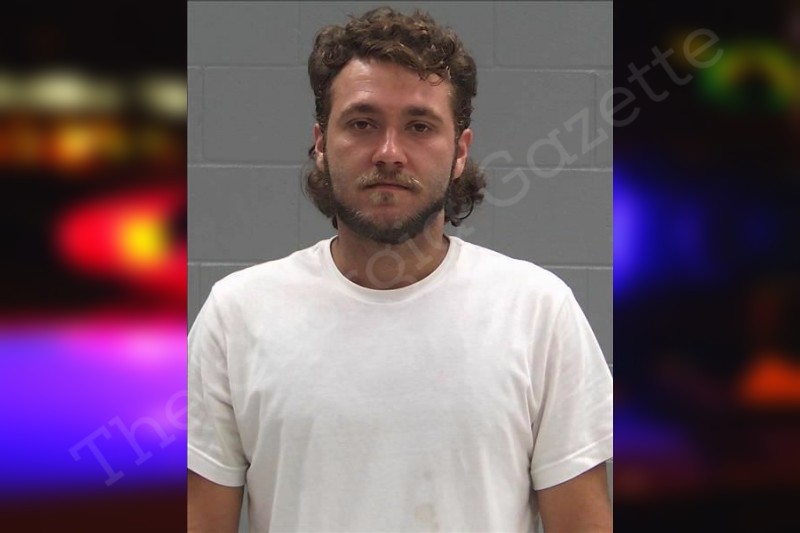 Taylor Blizard — Baldwin County Jail Bookings