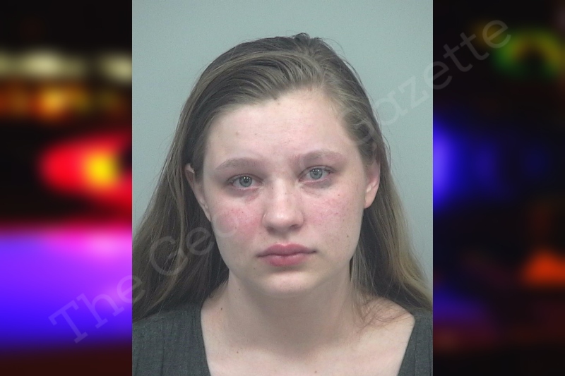 Cassidy Bonds — Gwinnett County Jail Bookings