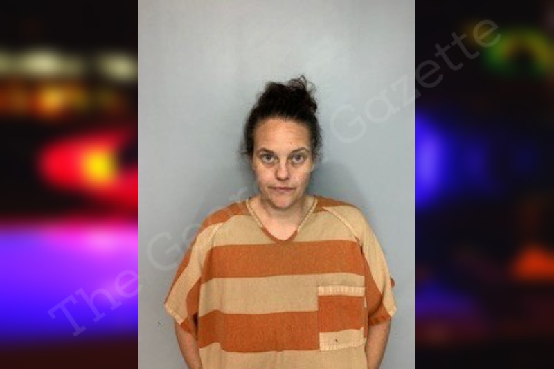 Emily Busby — Hall County Jail Bookings
