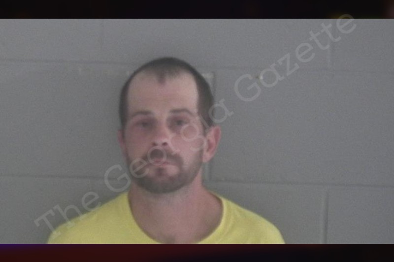 Andrew Brandt — Brantley County Jail Bookings