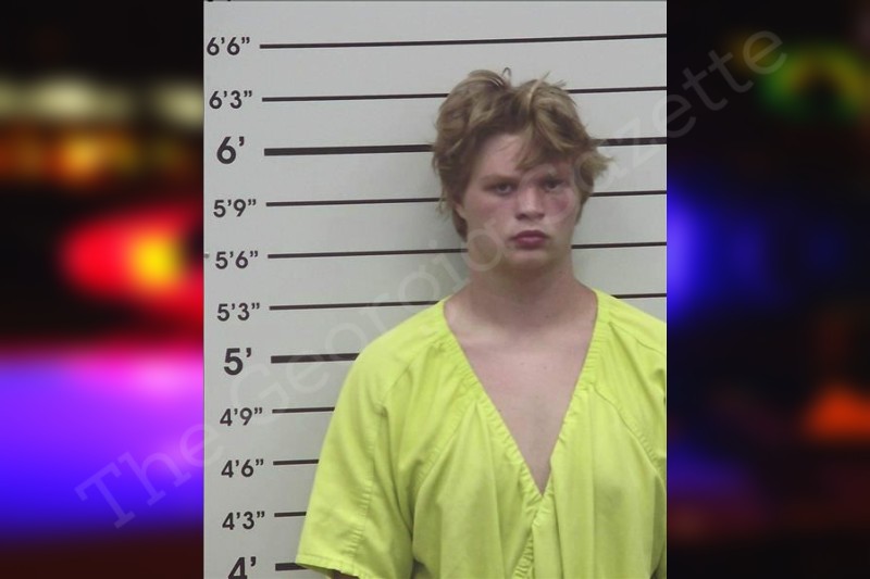 Cameron Bush — Turner County Jail Bookings