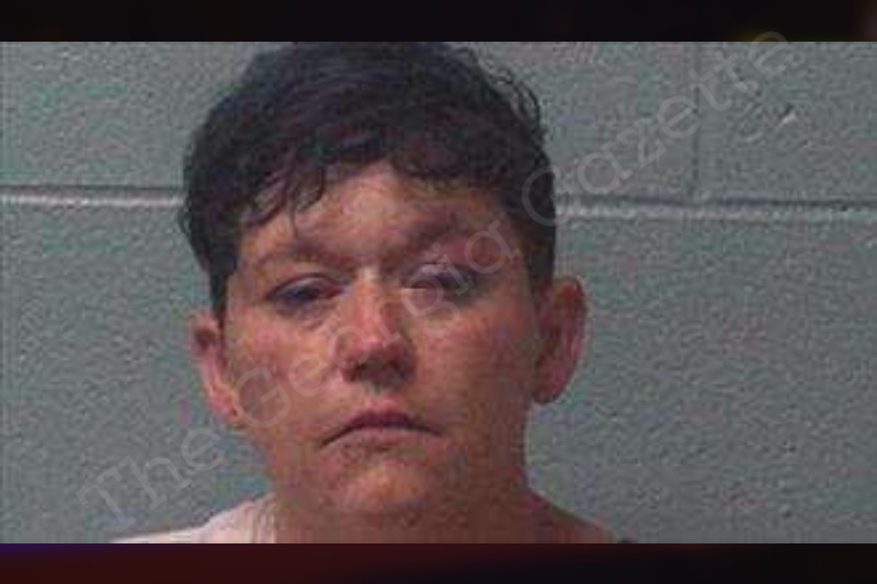 Heather Butler — Franklin County Jail Bookings