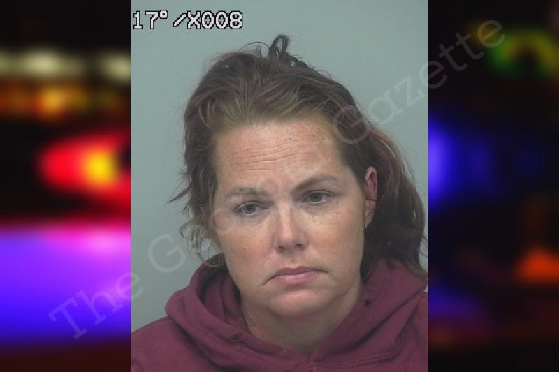 Terri Carter — Gwinnett County Jail Bookings