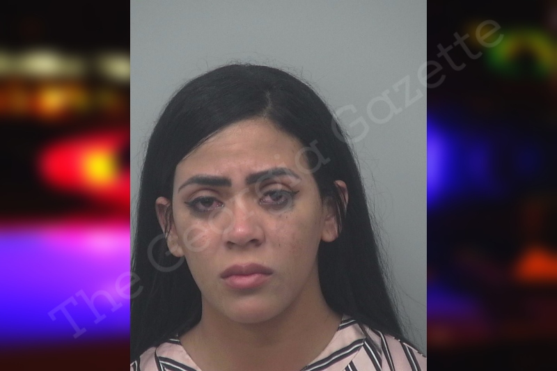 Angeles Castillo Samon | Gwinnett County