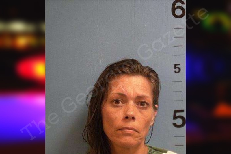 Kerri Cook — Monroe County Jail Bookings