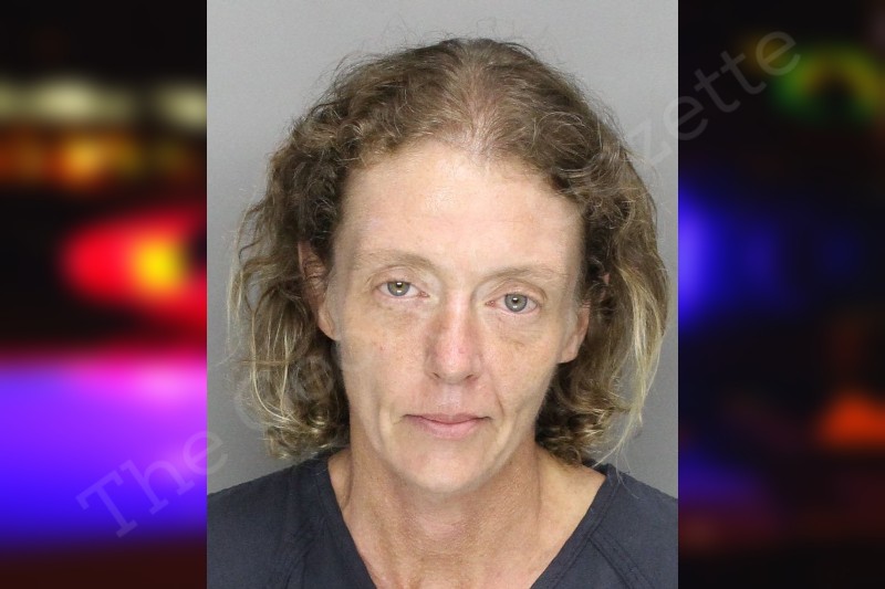 Jennifer Cronin — Cobb County Jail Bookings