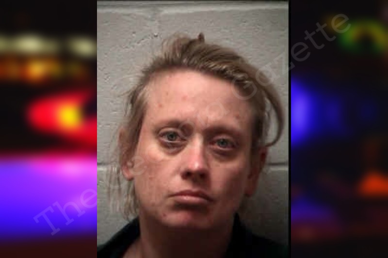 Allisa Davidson — Henry County Jail Bookings