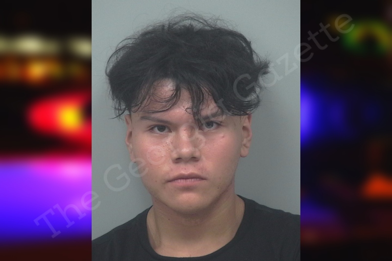 Mario Depaz-Tobar — Gwinnett County Jail Bookings